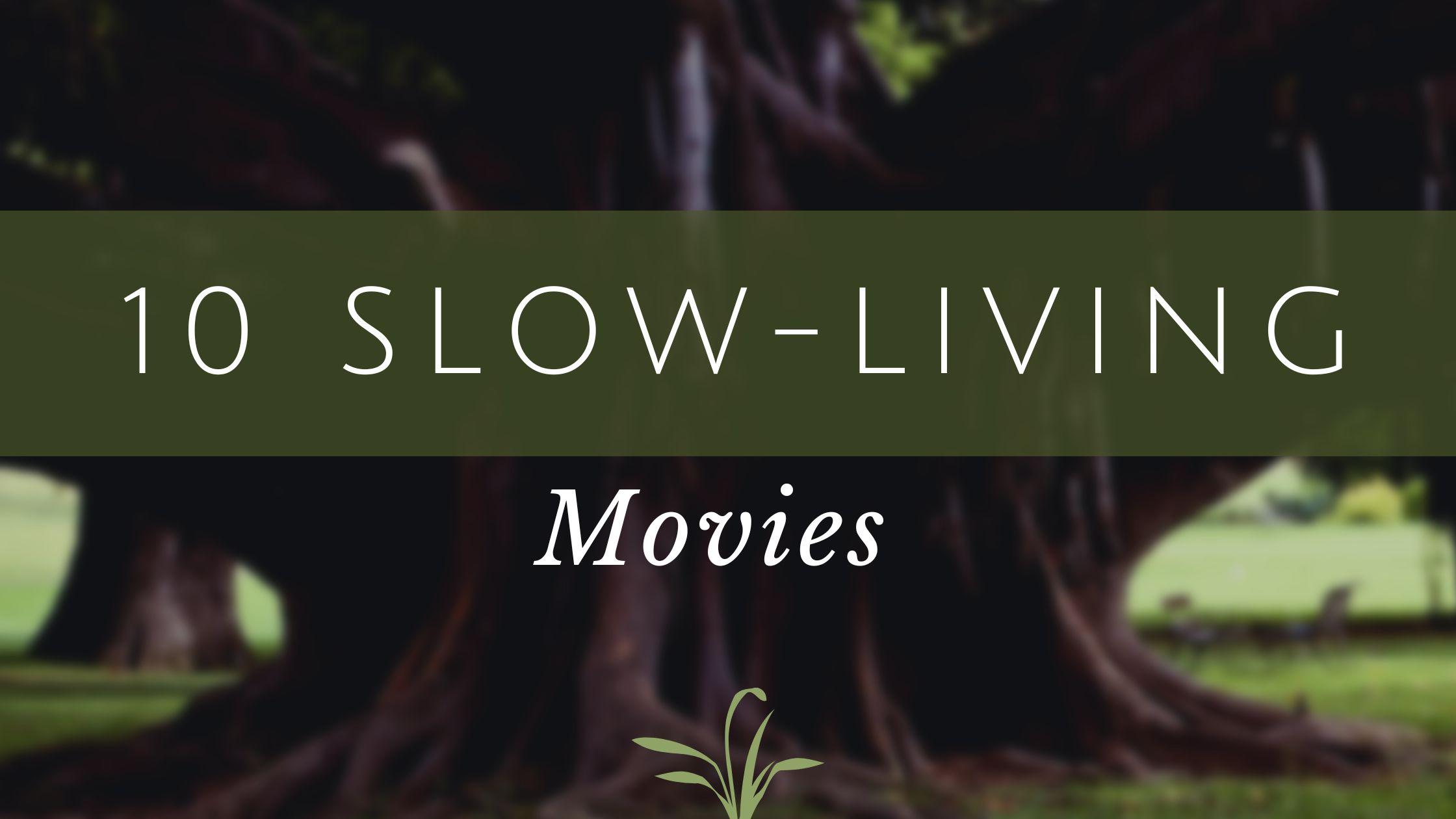 Slow Living Through Film: Top 10 Recommended Movies