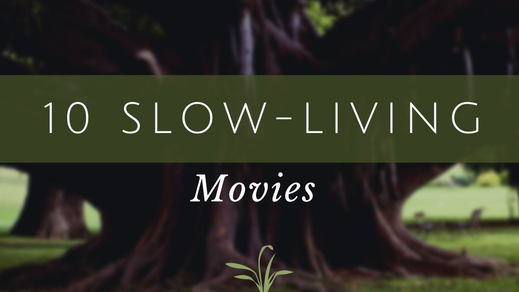 Slow Living Through Film: Top 10 Recommended Movies